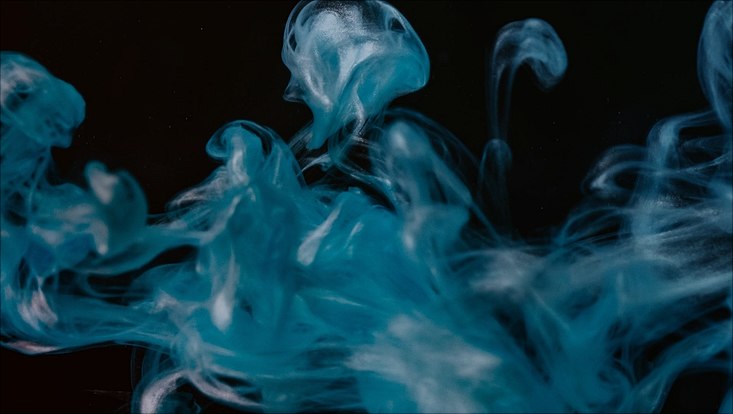 Der volatile Text. Formen, Verfahren und Medien der Unabgeschlossenheit ...